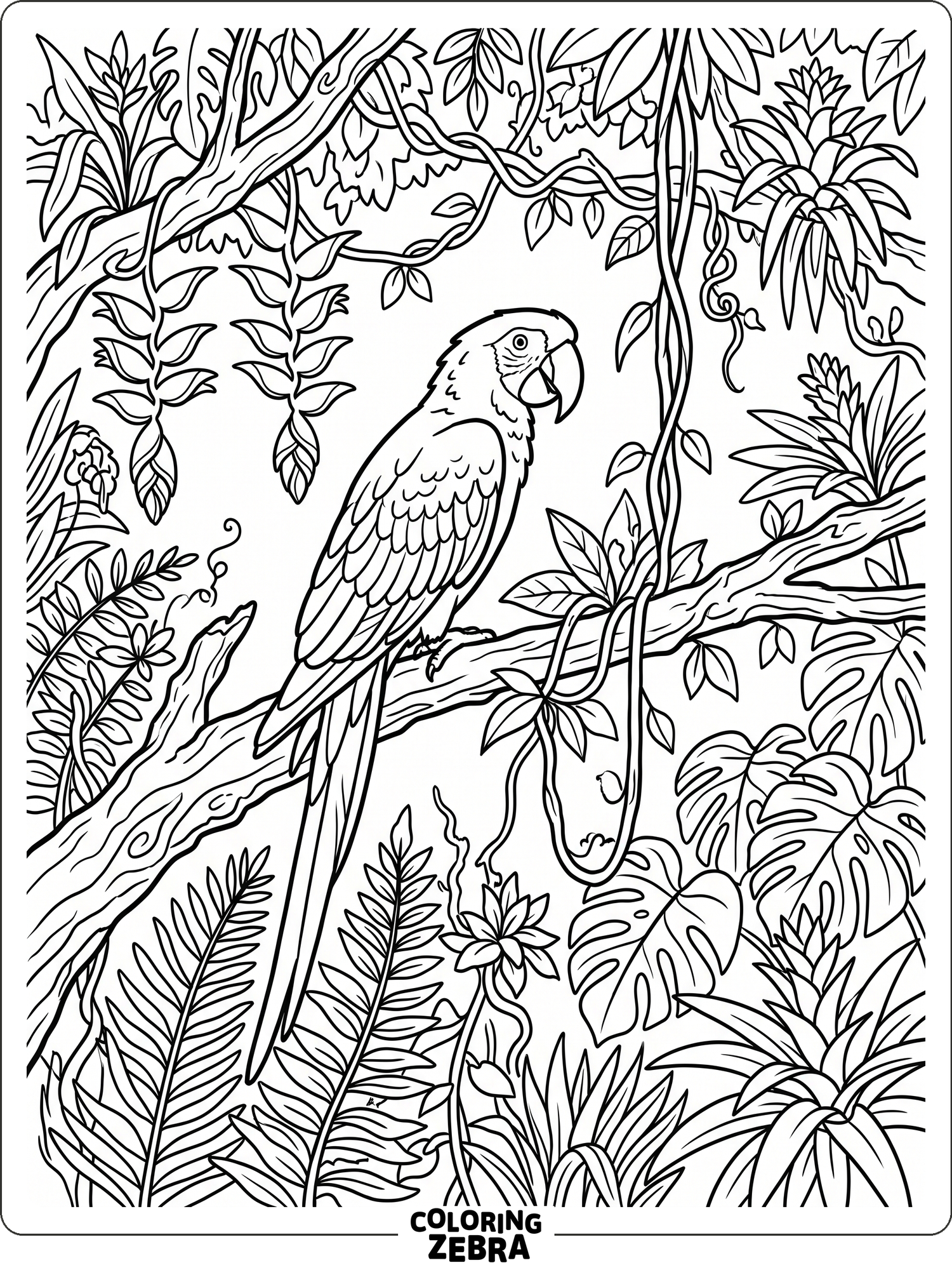 56 Free Jungle Coloring Pages - Printable PDF Sheets