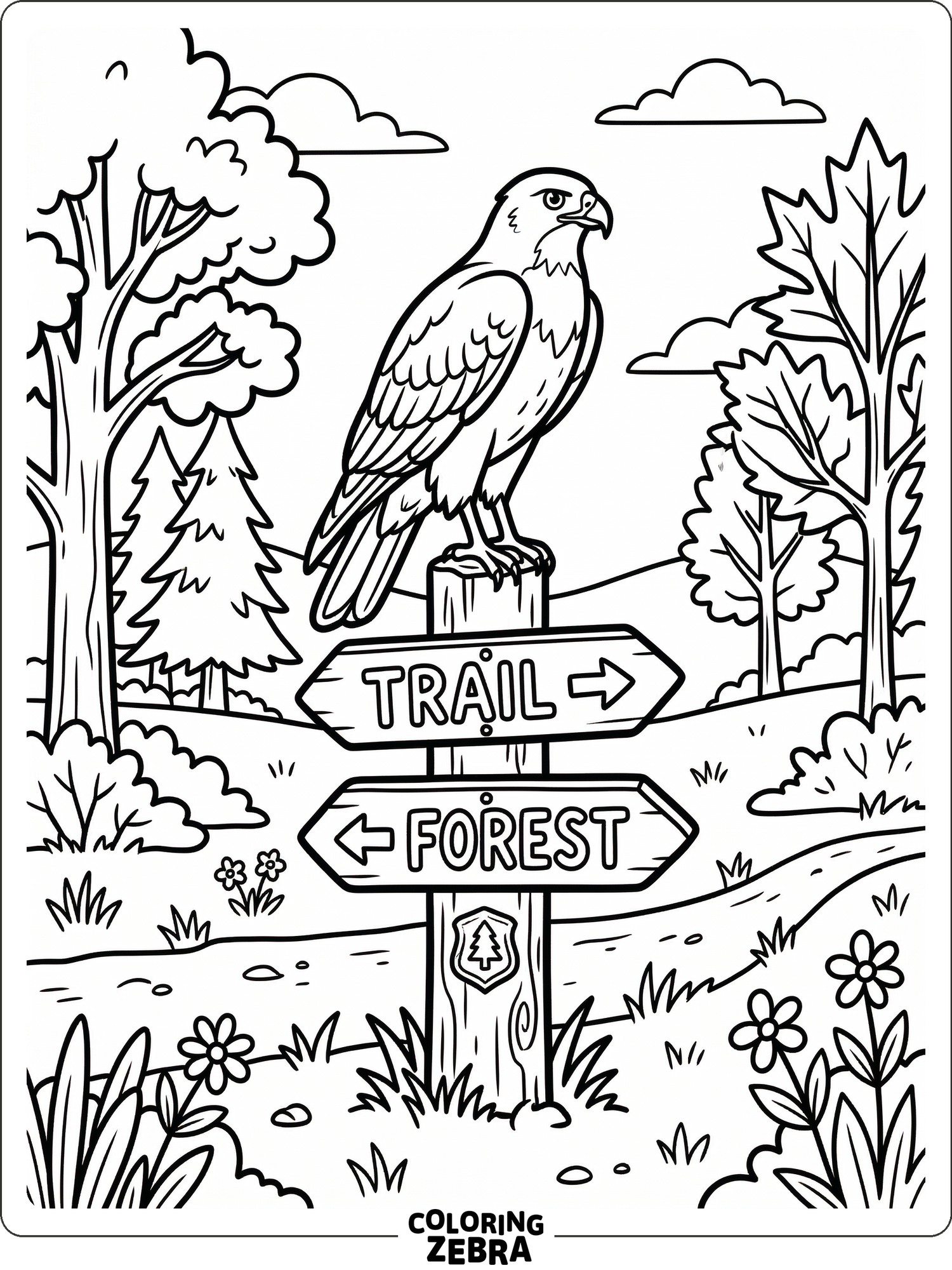 40 Free Hawk Coloring Pages - Printable PDF Sheets